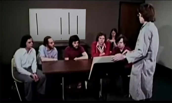 Experimento de Asch - esIkigai